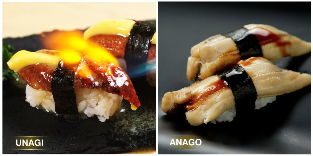 Unagi và Anago là gì và khác nhau như thế nào? - UNATOTO VIETNAM
